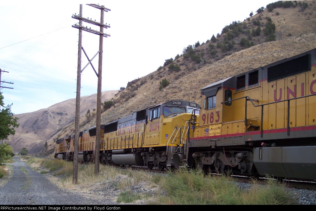 UP 2439 (SD60M) is the third unit on a five unit UP stack train.